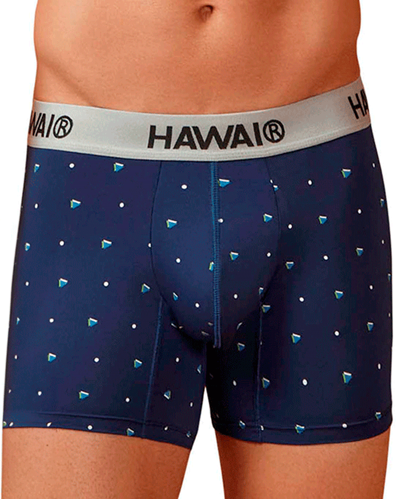 Gregg Homme Underwear | Provocative, Naughty Underwear for Men ...